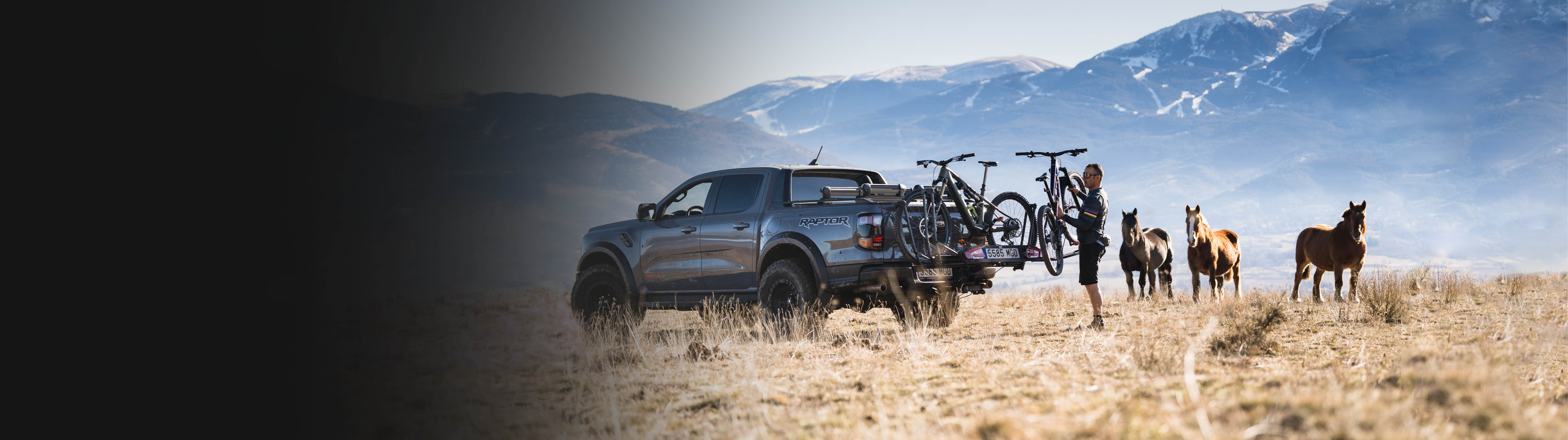 CRUZ - roof racks & accessories